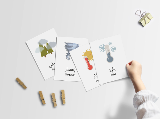 Weather Educational Cards Arabic-English, Toddler Flash Cards
