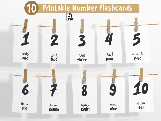 10 Printable Number Flashcards Translated into Arabic Preschool