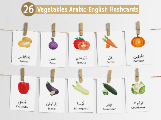 26 Vegetables Arabic-English Flashcards | Preschool Flashcards