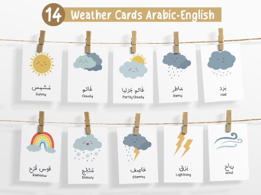 Weather Educational Cards Arabic-English, Toddler Flash Cards