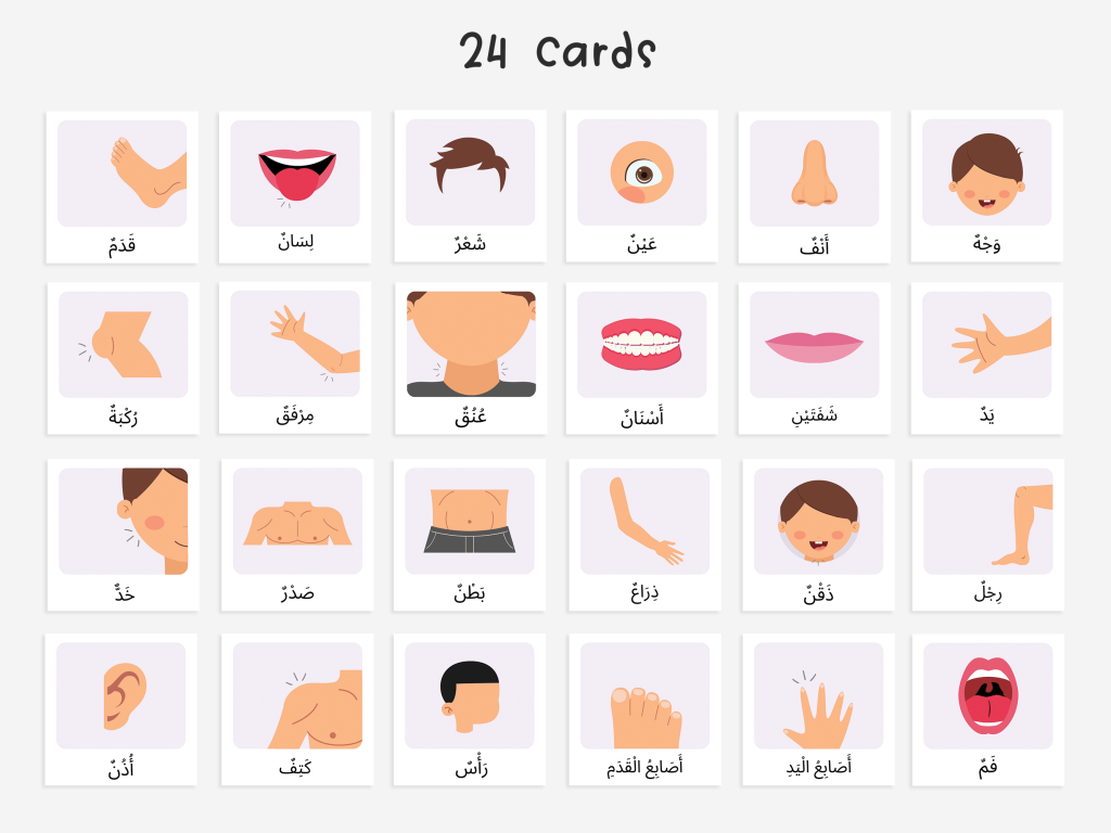 24 Arabic Body Parts Flashcards, Educational Printable Cards
