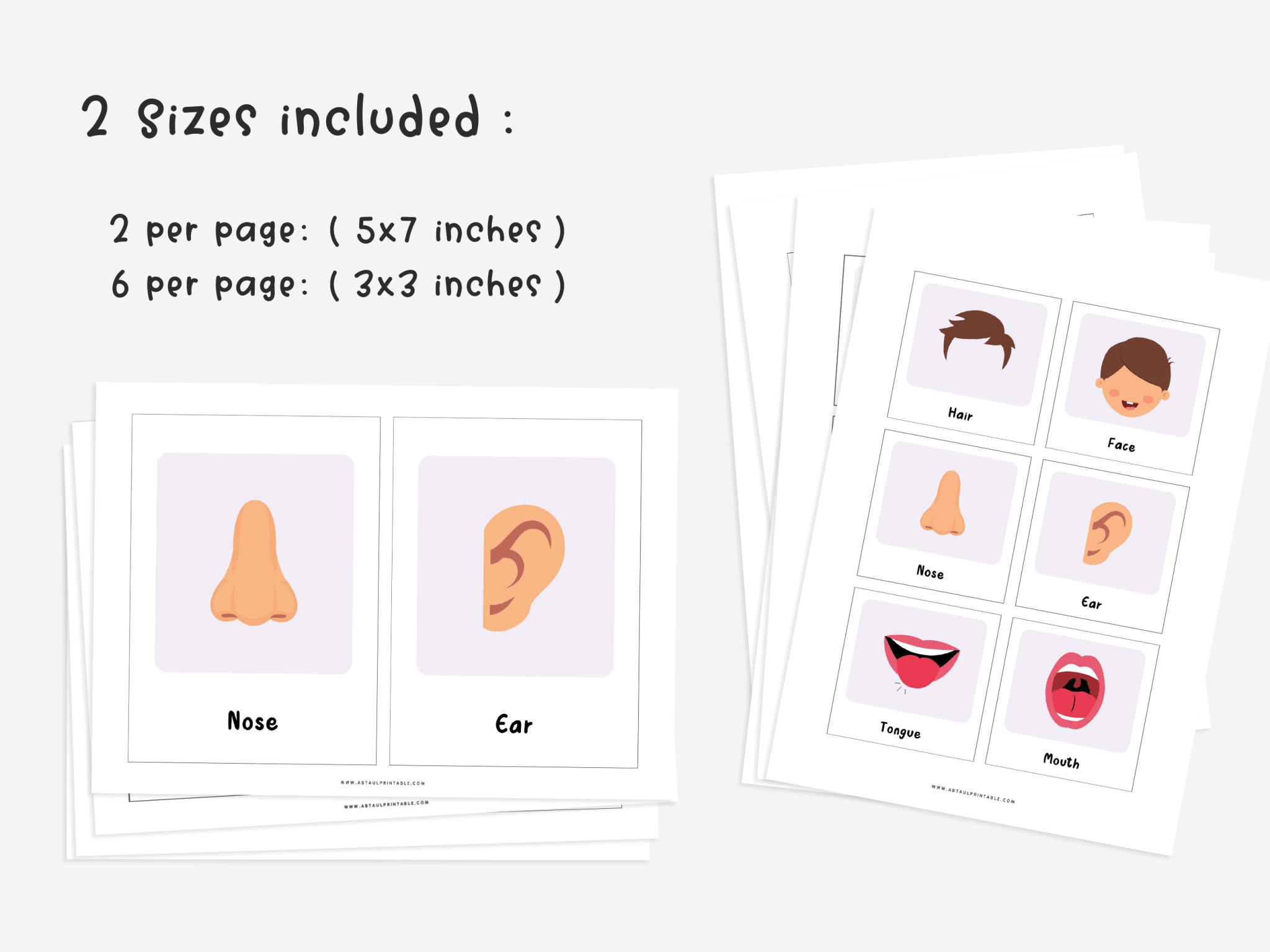 24 Body Parts Cards, Montessori flashcards, Educational Printable Cards